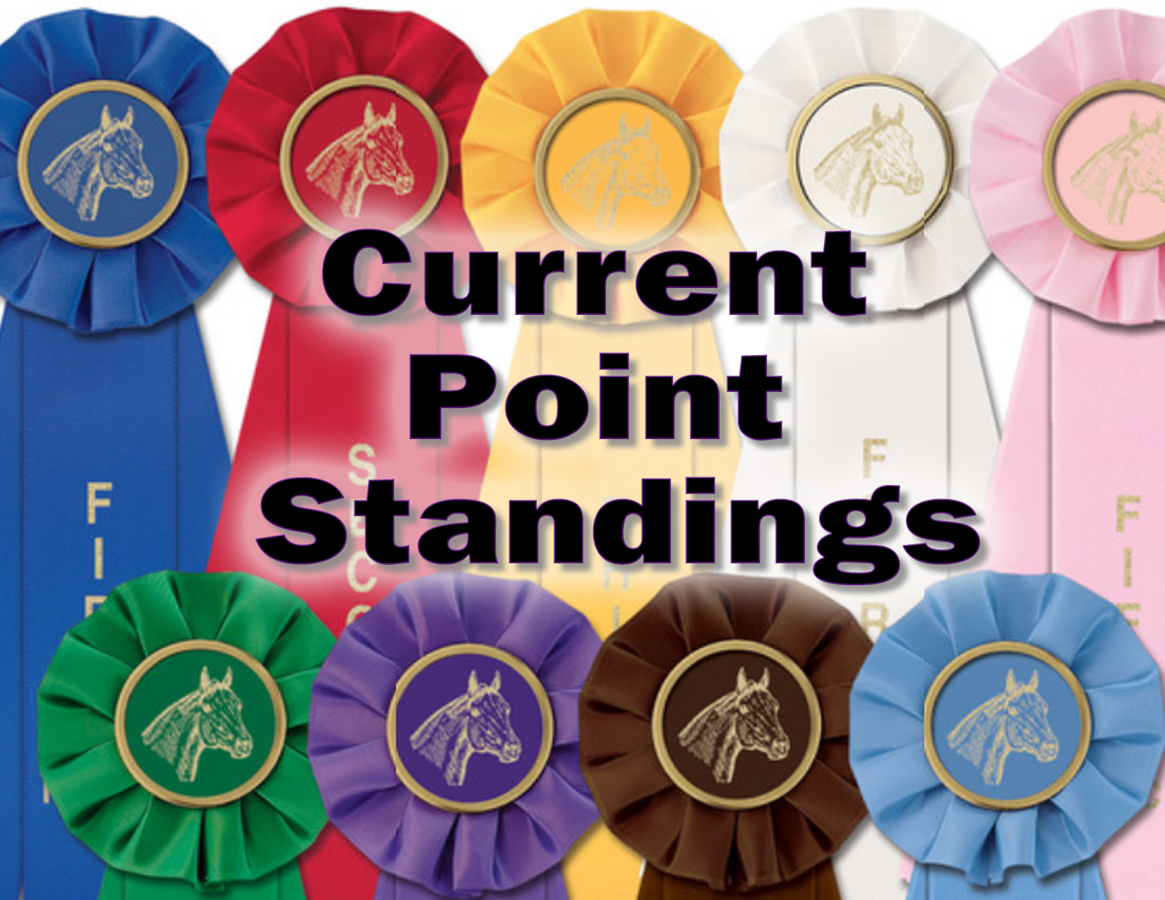 Rocky Mountain Quarter Horse Association: Home